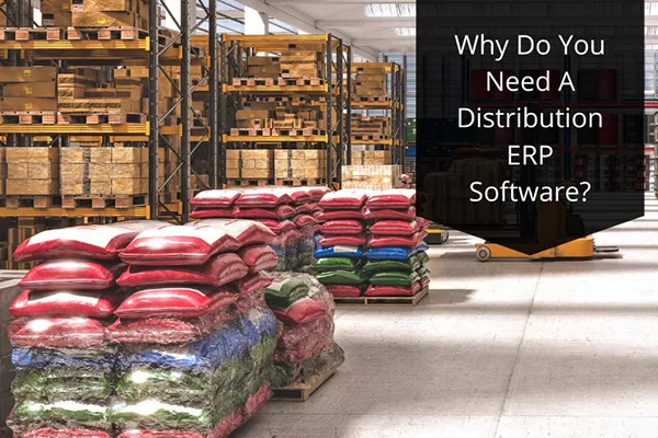 Reasons Why Do You Need Distribution ERP Software